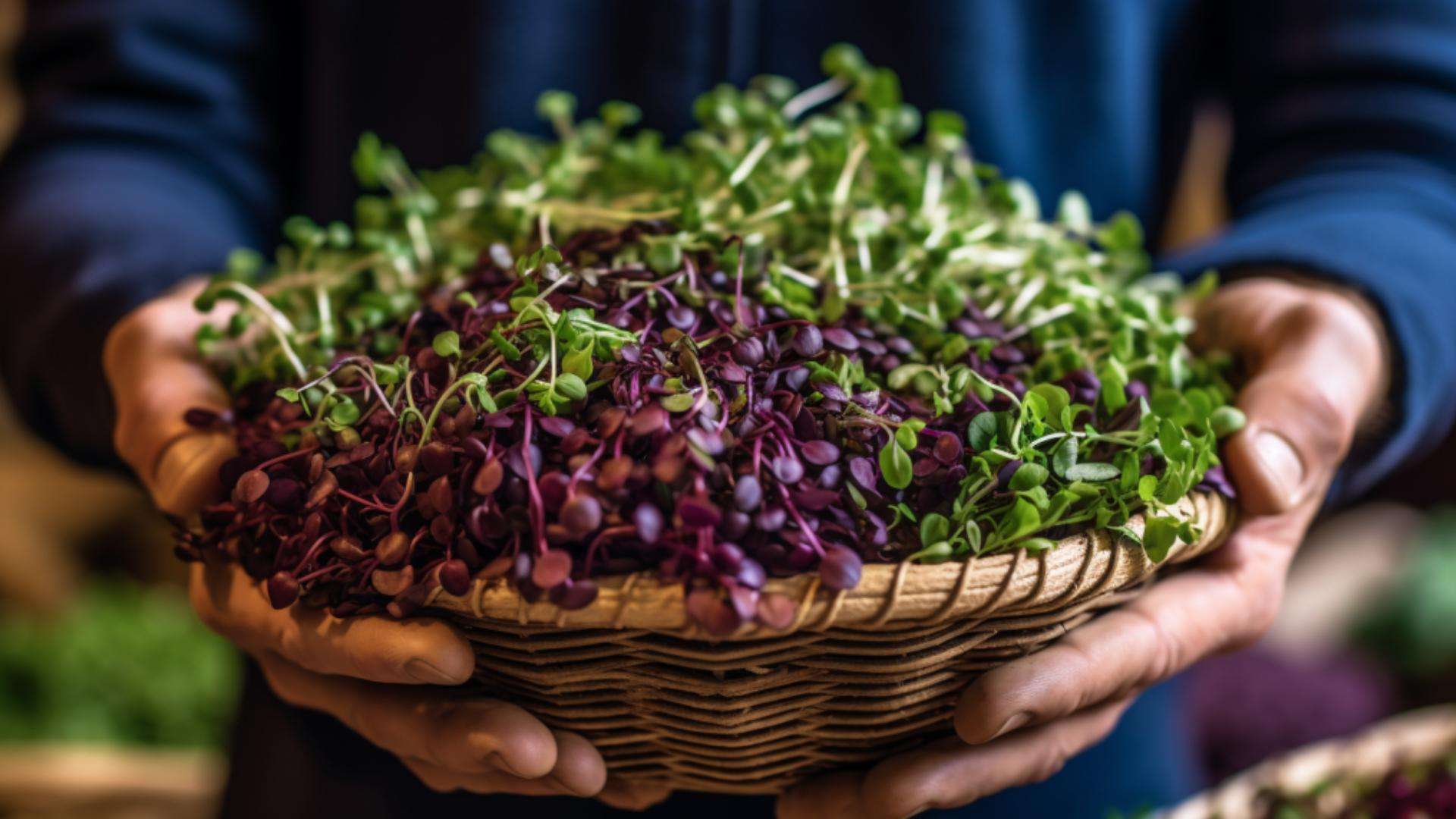 Making Money from Microgreens: How to Turn Tiny Greens into Big Profits ...